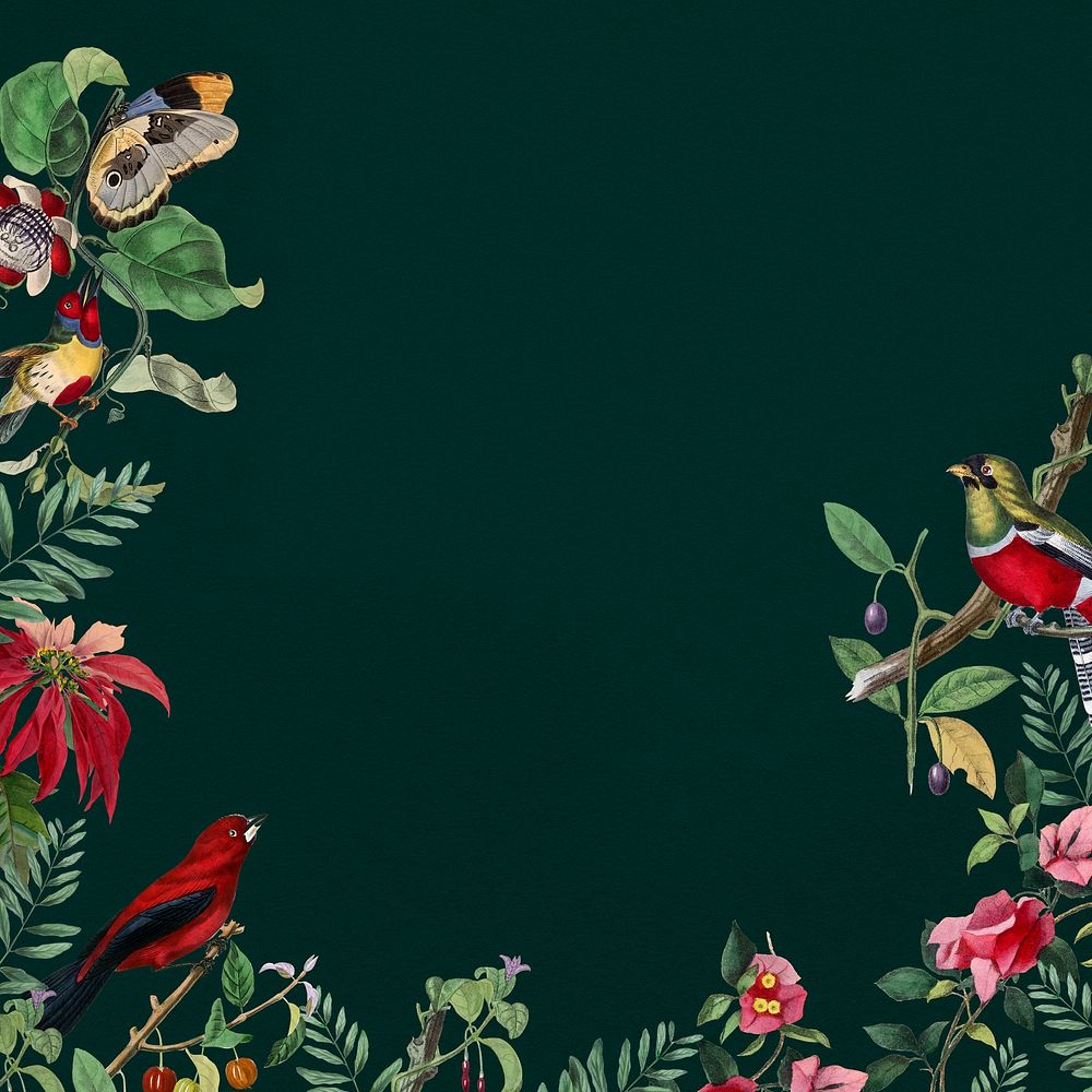 Botanical border frame, beautiful nature | Premium Photo - rawpixel