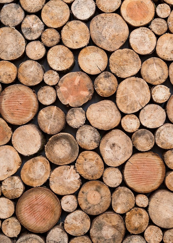 Cut wood log texture background, | Free Photo - rawpixel