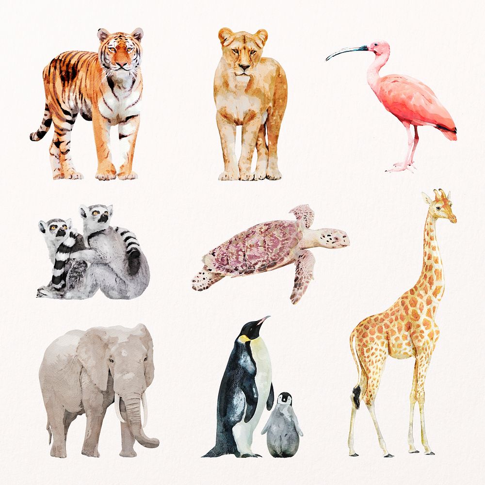 Wildlife animal illustration psd collection, | Premium PSD - rawpixel