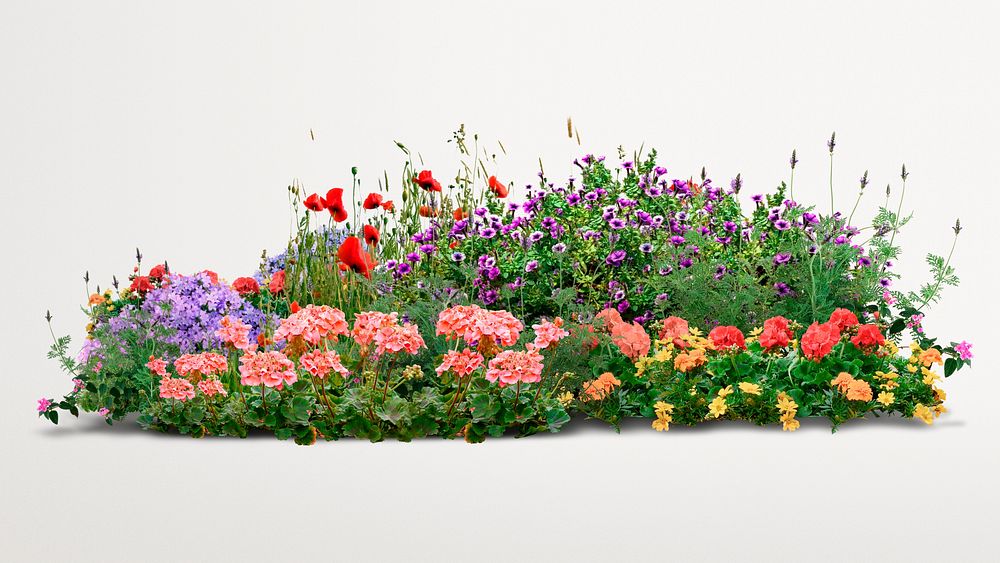 Flower bush collage element, nature | Premium PSD - rawpixel
