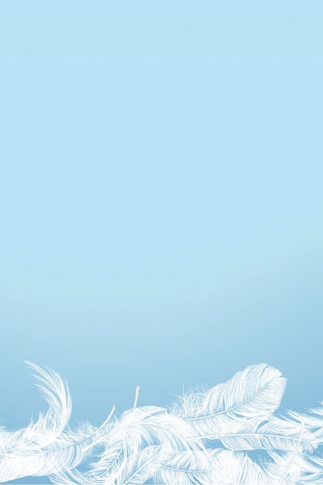 Feathers border on blue background | Free Photo - rawpixel