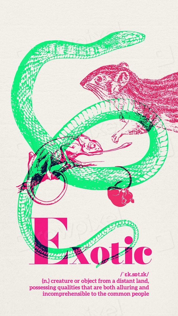 Exotic Instagram story template | Premium Editable Template - rawpixel