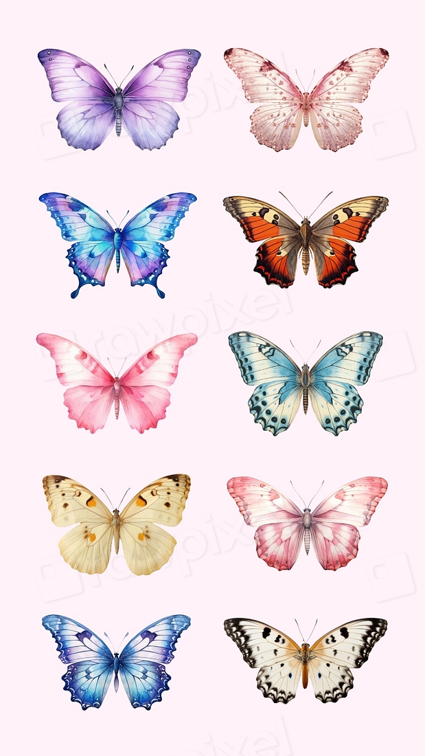 Editable colorful butterfly set | Premium Editable Design - rawpixel