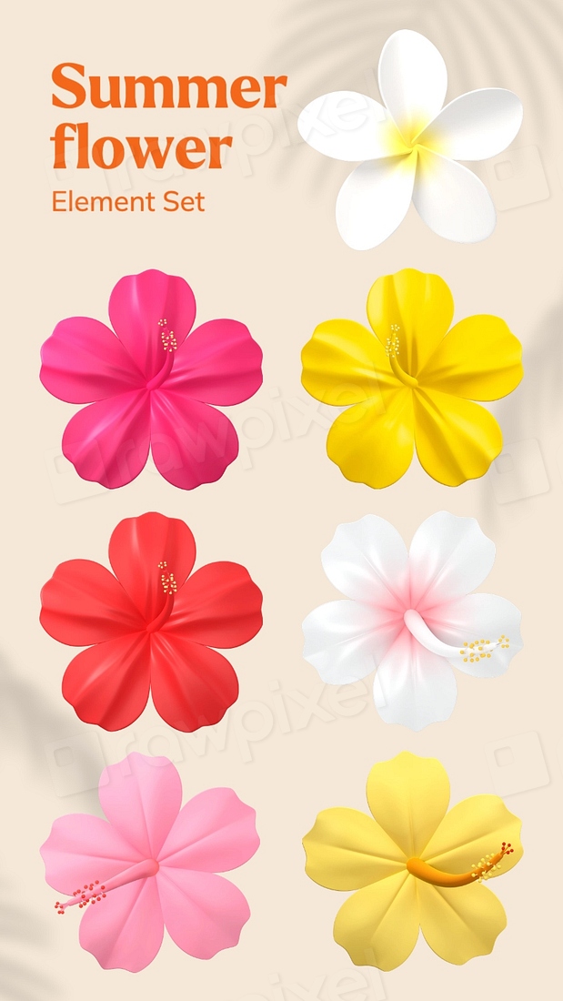 Summer flower set, editable design | Premium Editable Design - rawpixel