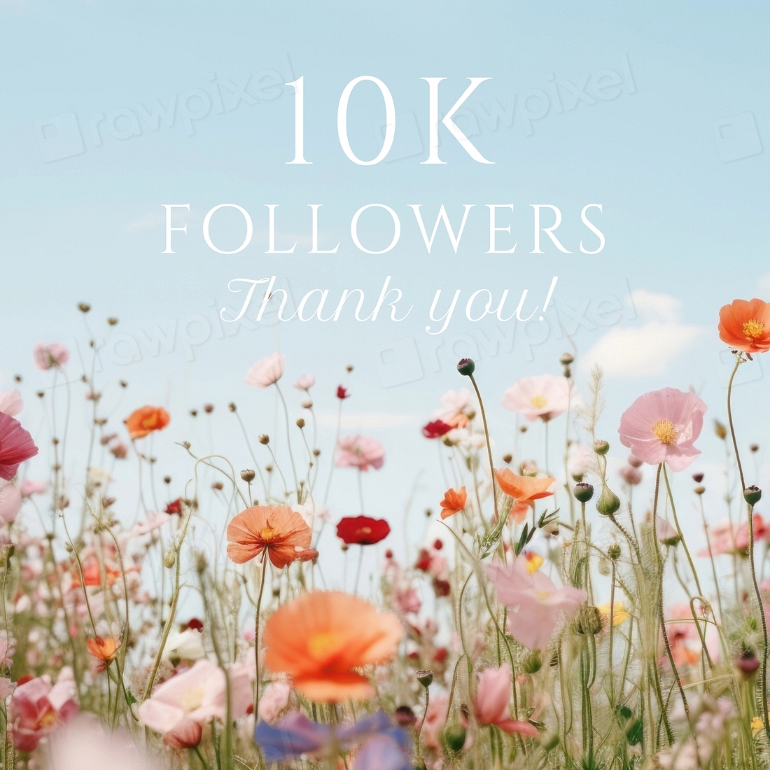 Thank you followers Facebook post | Free Photo - rawpixel