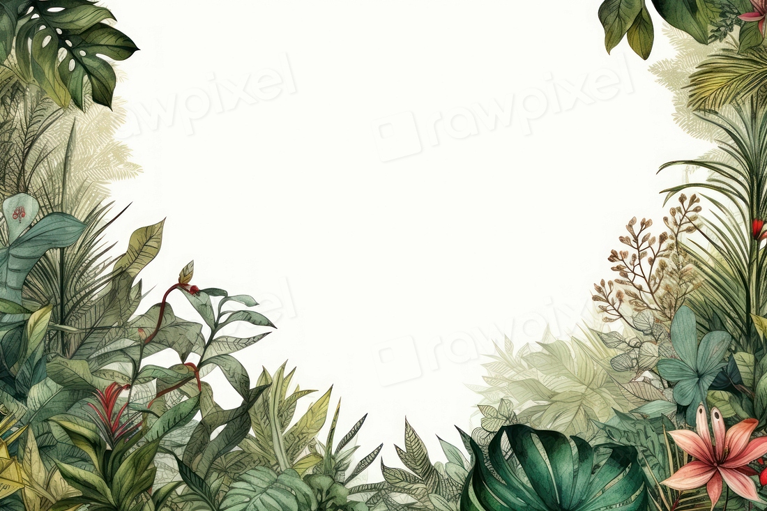 Rainforest vegetation outdoors graphics | Premium Photo Illustration ...