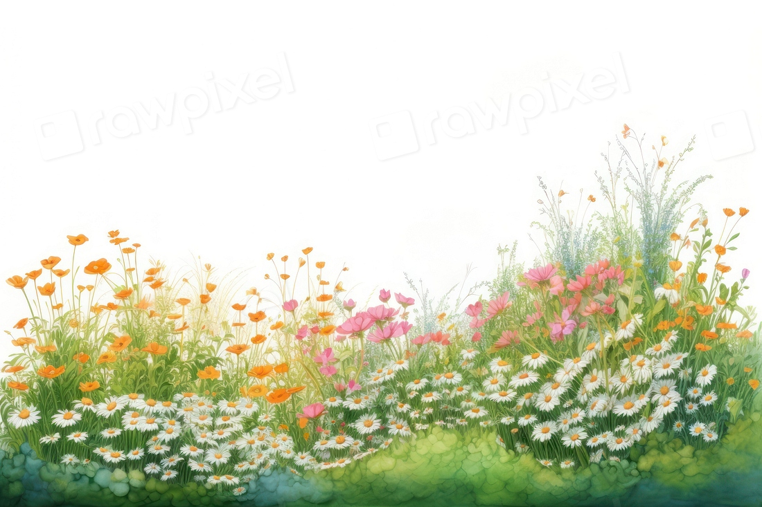 Vibrant floral meadow illustration | Premium Photo Illustration - rawpixel