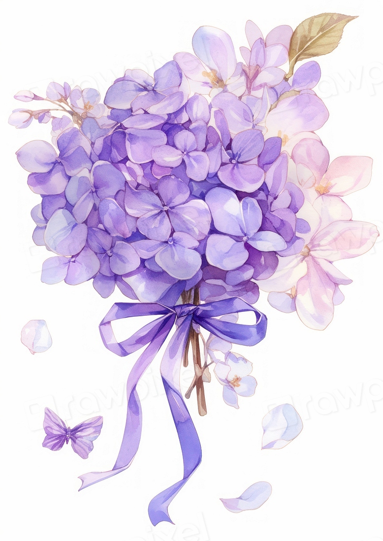 Purple coquette kitteen blossom flower | Free Photo Illustration - rawpixel