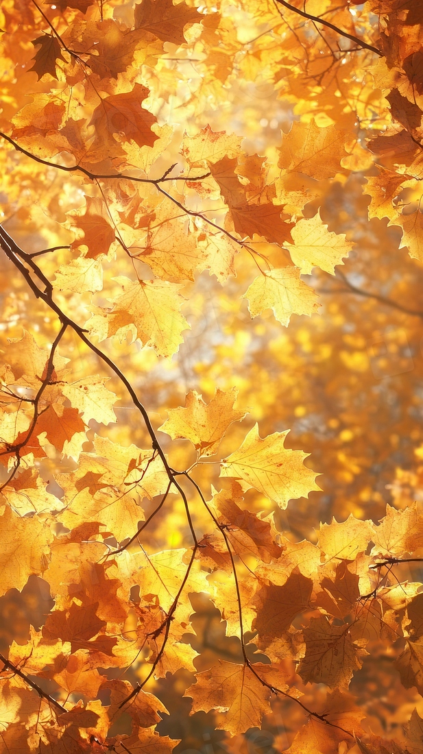 Maple tree leaves autumn leaf | Premium Photo - rawpixel