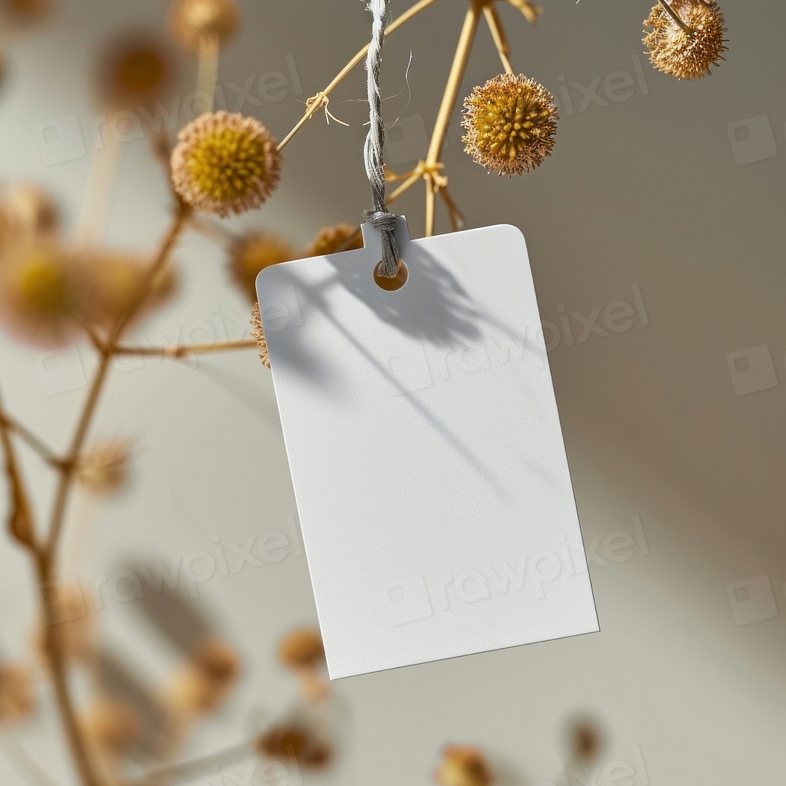 Label tag packaging plant paper | Free Photo - rawpixel