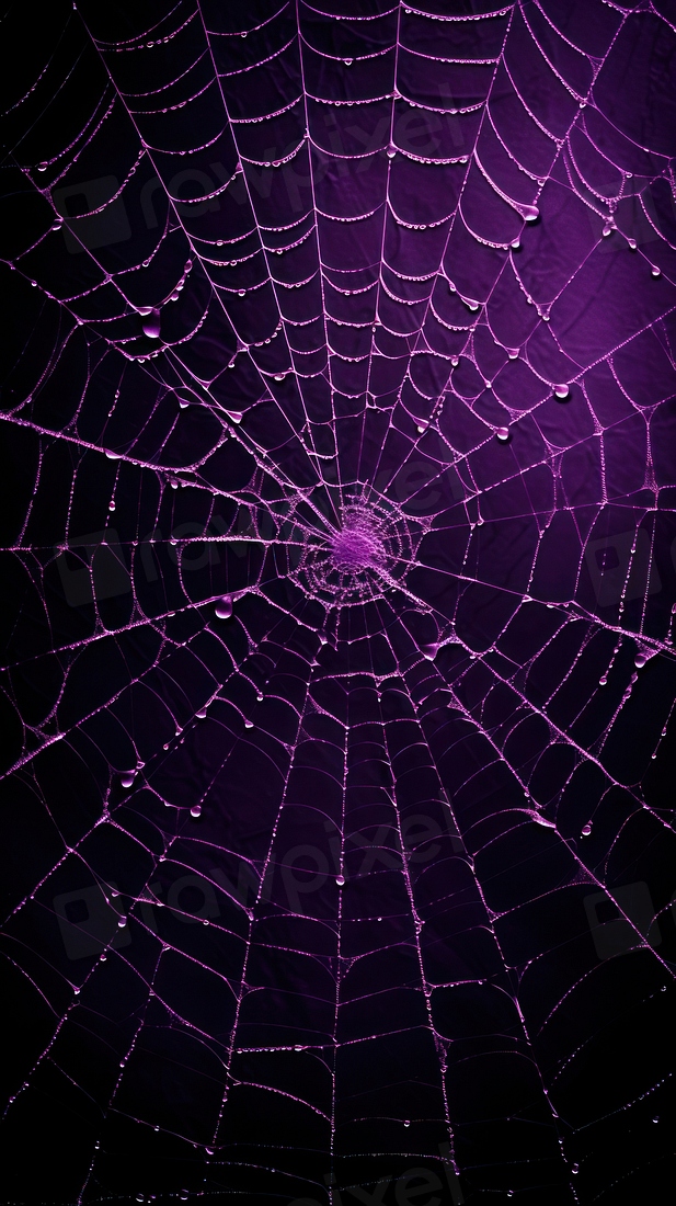 Dark purple spider web backgrounds | Premium Photo - rawpixel