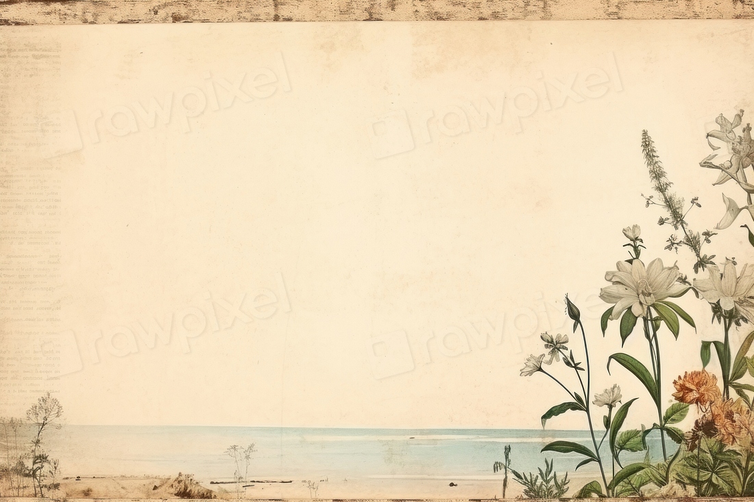 Beach ephemera border backgrounds outdoors | Free Photo Illustration ...