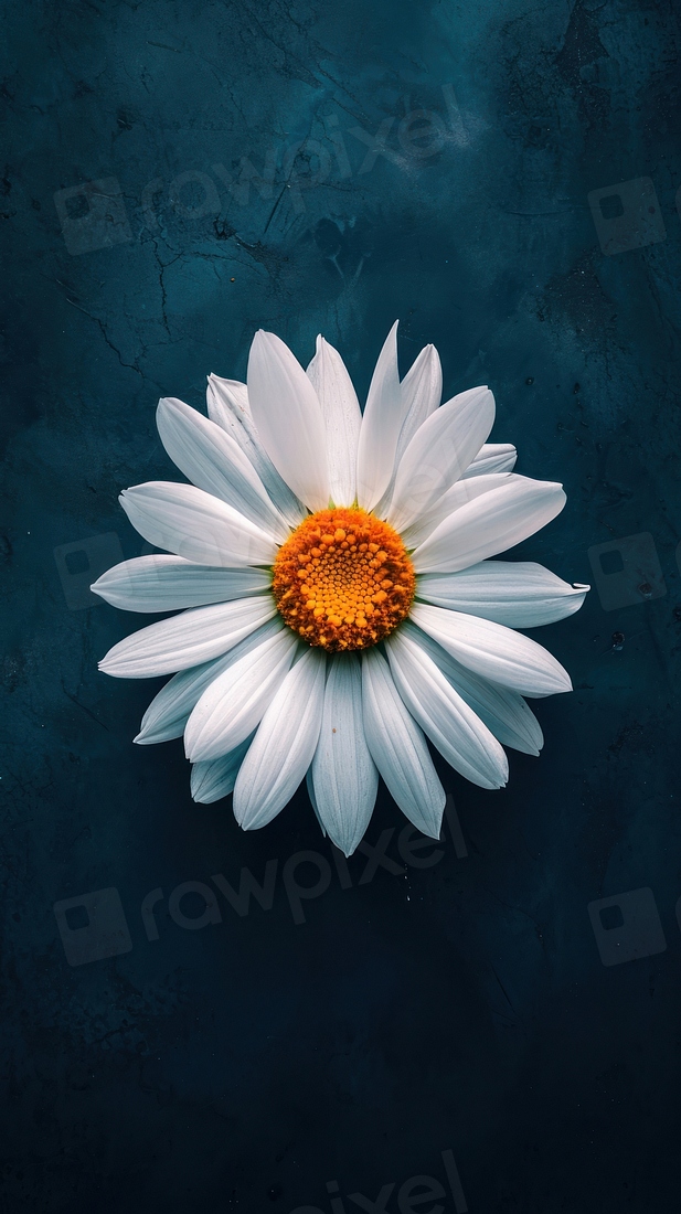 Aerial top view Flower flower | Premium Photo - rawpixel