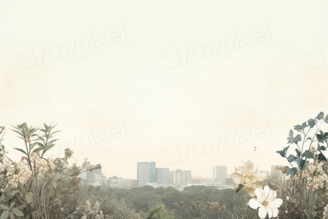 Modern cityscape border architecture outdoors | Free Photo Illustration ...