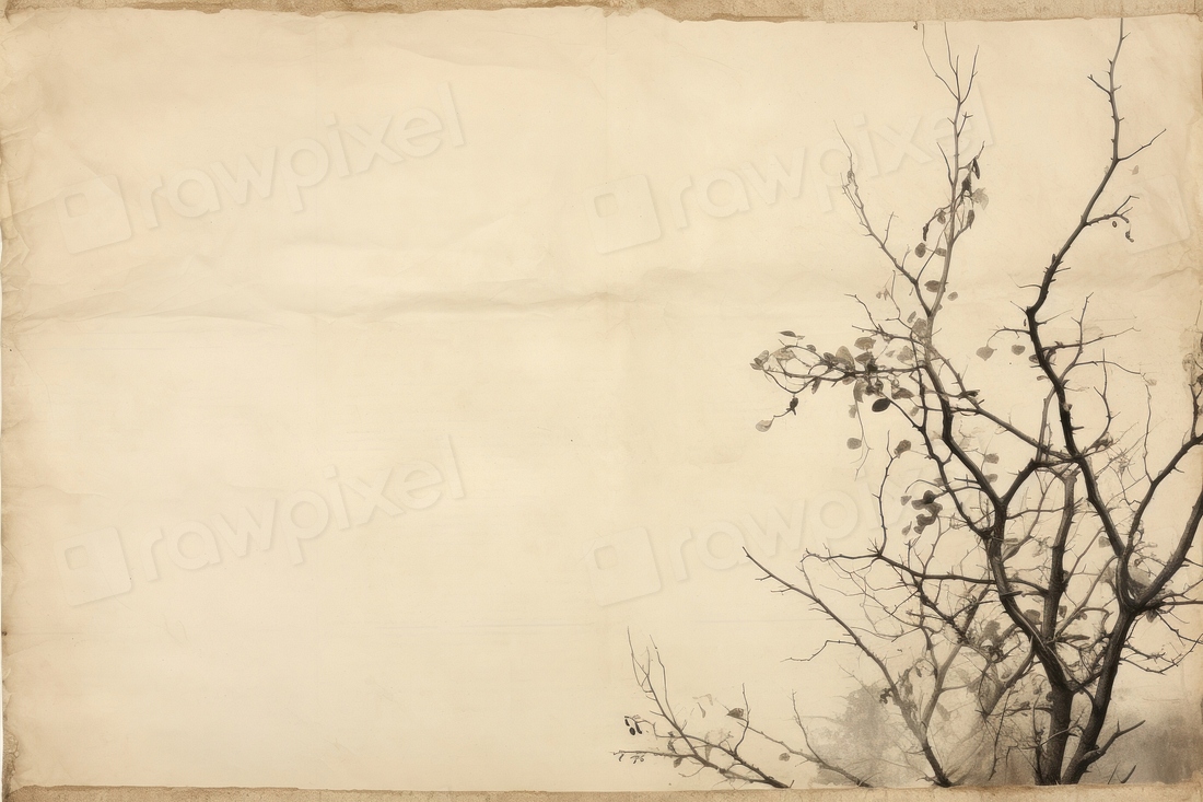 Tree branch border backgrounds paper | Free Photo Illustration - rawpixel