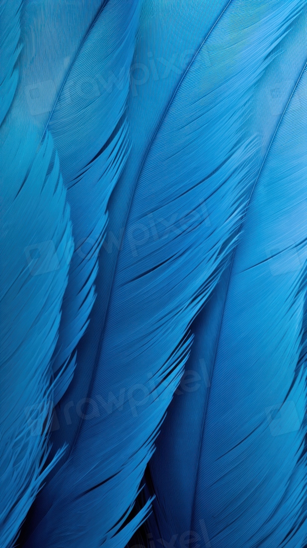 Abstract blue feathers background backgrounds | Premium Photo - rawpixel