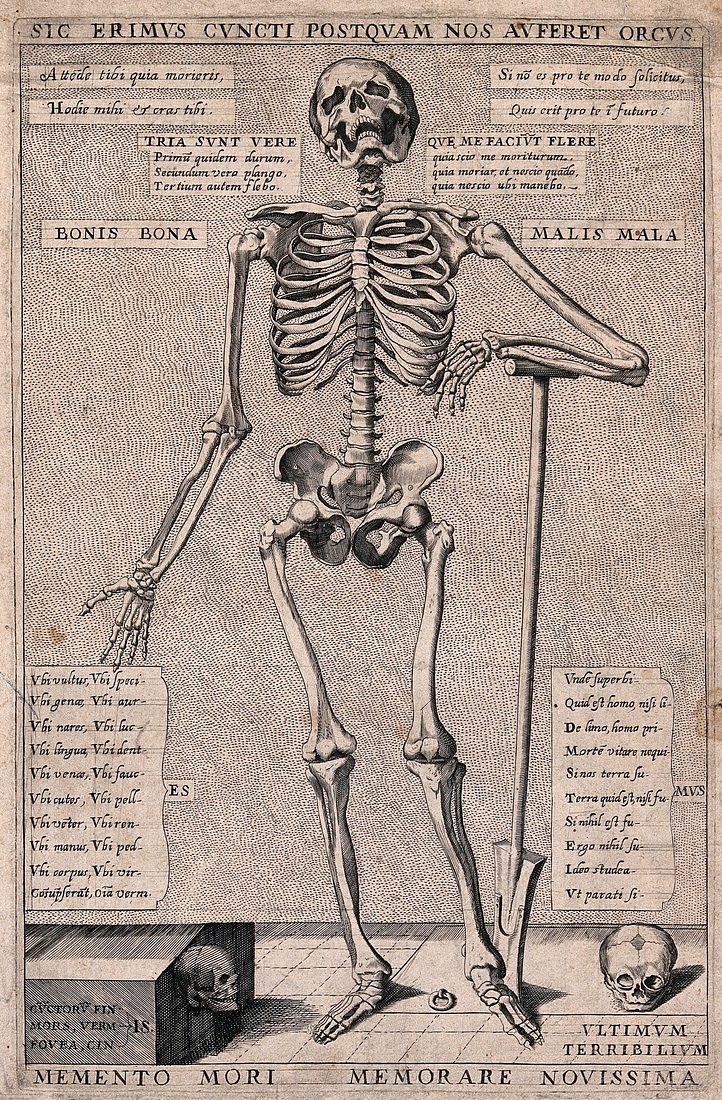 skeleton as reminder death. Etching | Free Photo Illustration - rawpixel