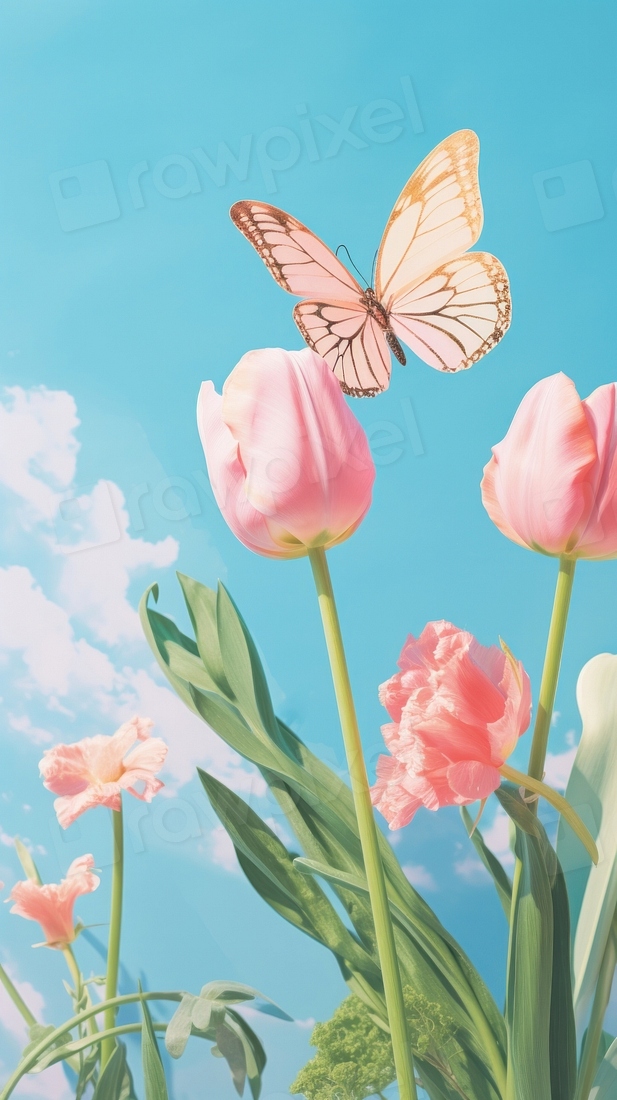 Butterfly tulip flower outdoors nature | Free Photo Illustration - rawpixel