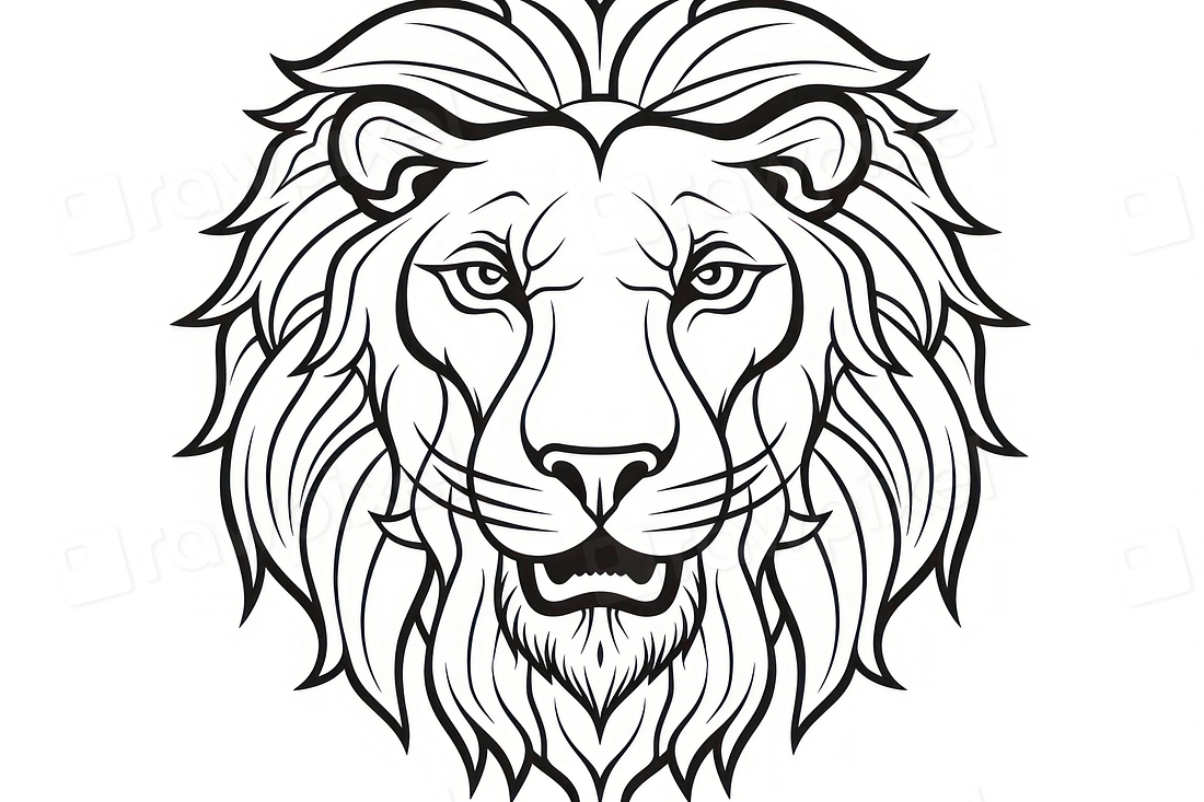 Lion outline sketch drawing mammal | Premium Photo Illustration - rawpixel