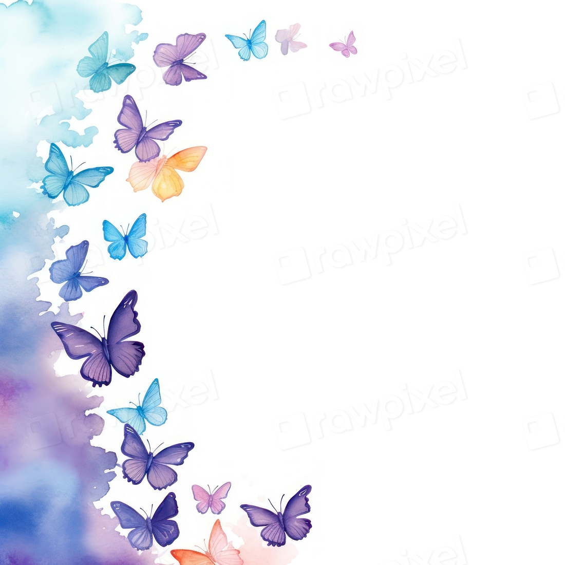 Butterflys border pattern petal paper. | Premium Photo Illustration ...