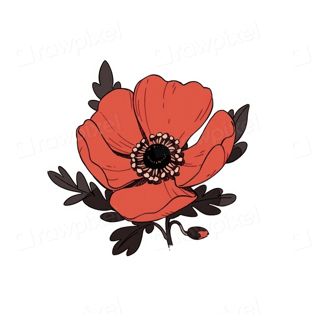 Red Anemone flower pattern anemone | Free Photo Illustration - rawpixel