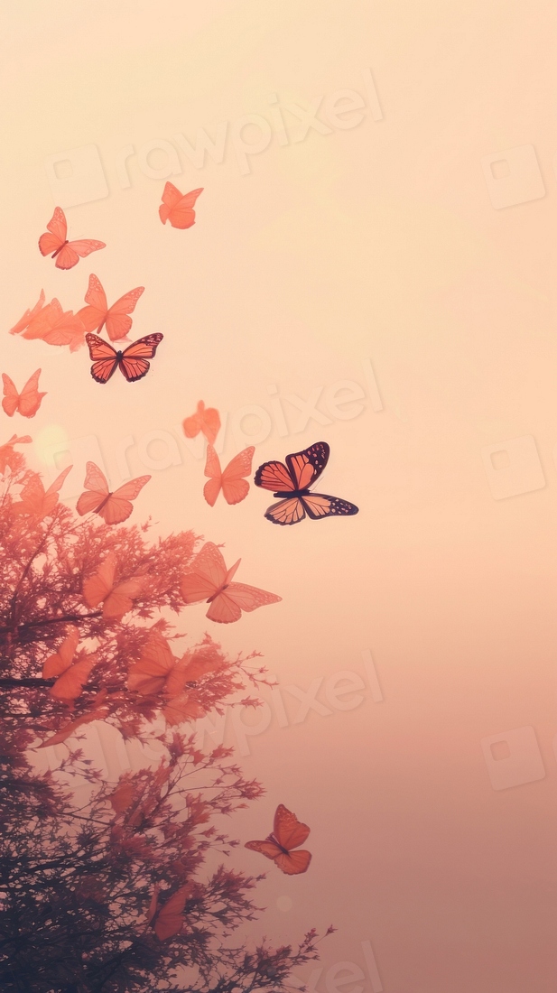 Butterflies flying pink sky butterfly | Premium Photo - rawpixel