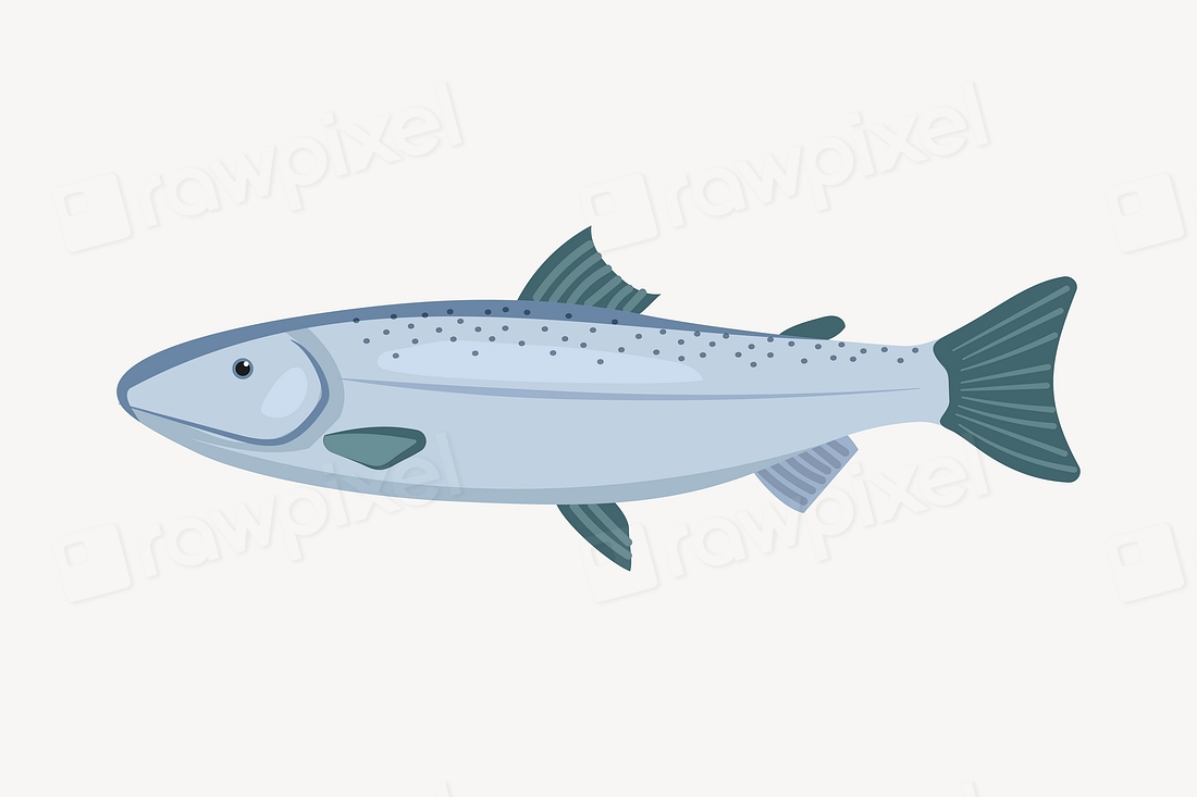 Fish collage element, cute cartoon | Premium Vector Illustration - rawpixel