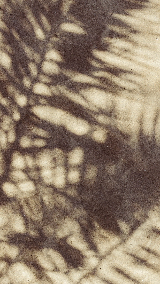 Leaf shadow phone wallpaper, HD | Premium Photo - rawpixel