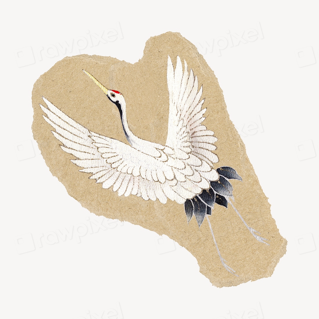 Flying Japanese crane sticker, ripped | Premium PSD - rawpixel