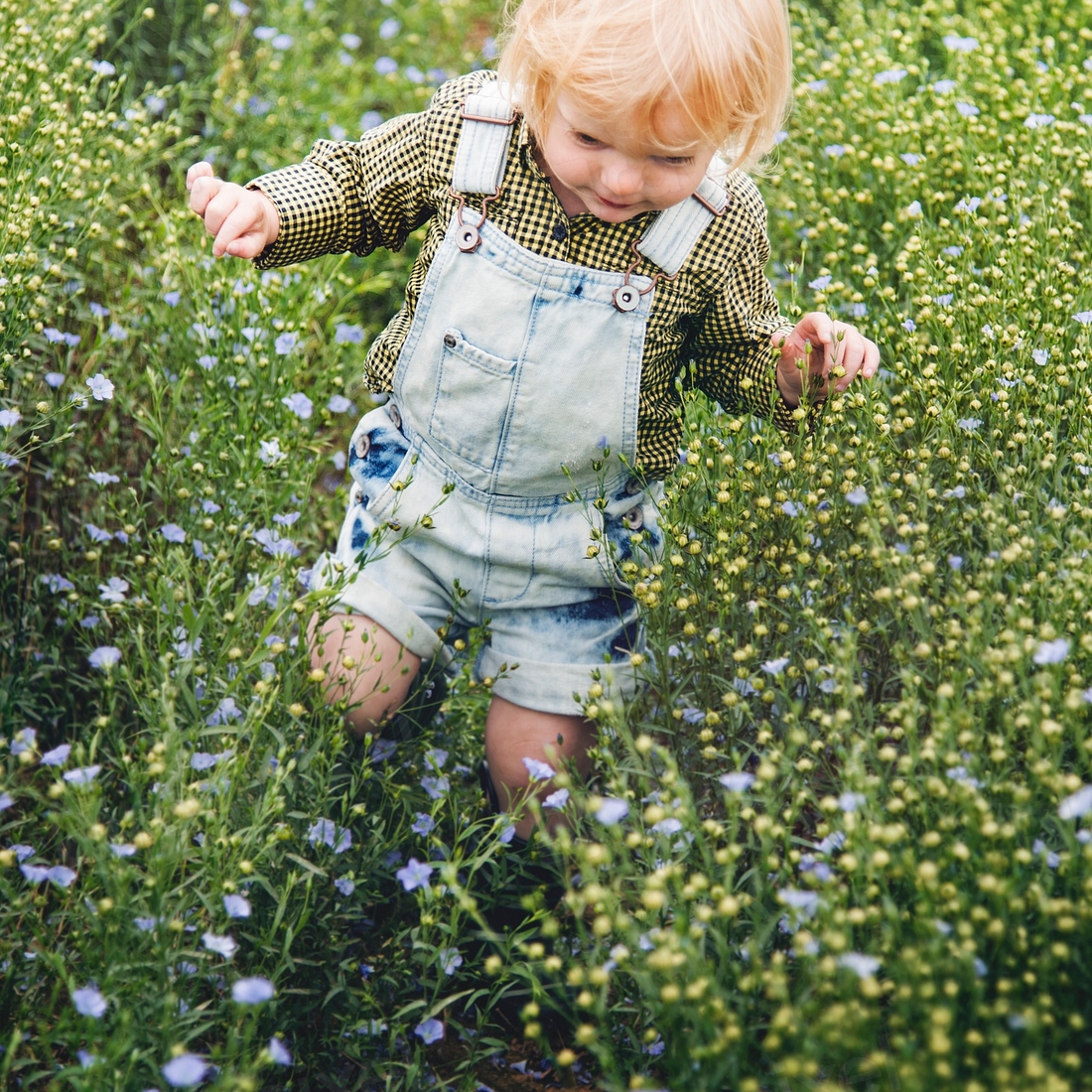 Little boy flower field | Free Photo - rawpixel