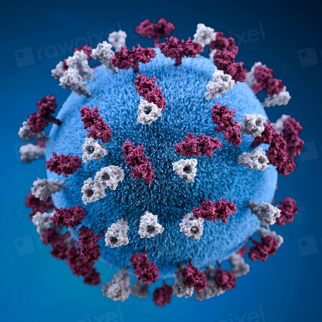 3D graphic representation spherical-shaped, measles | Free Photo - rawpixel