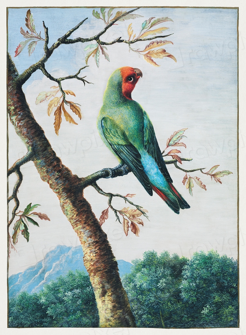 Bird Study painting high resolution | Free Photo Illustration - rawpixel