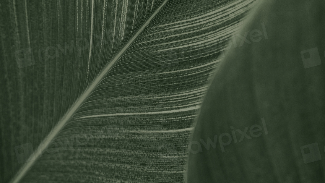 Leaf pattern desktop background wallpaper, | Premium Photo - rawpixel