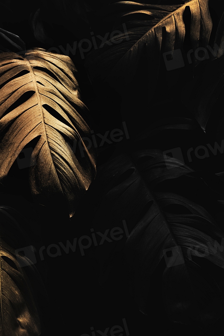 Golden monstera leaves background design | Premium Photo - rawpixel