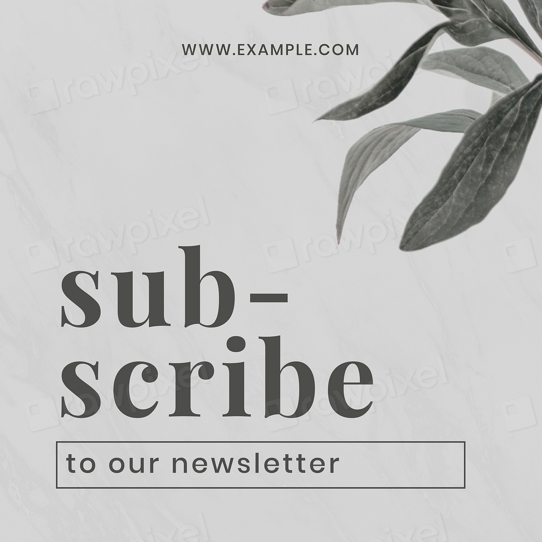 Business subscribe newsletter banner design | Premium Vector Template ...