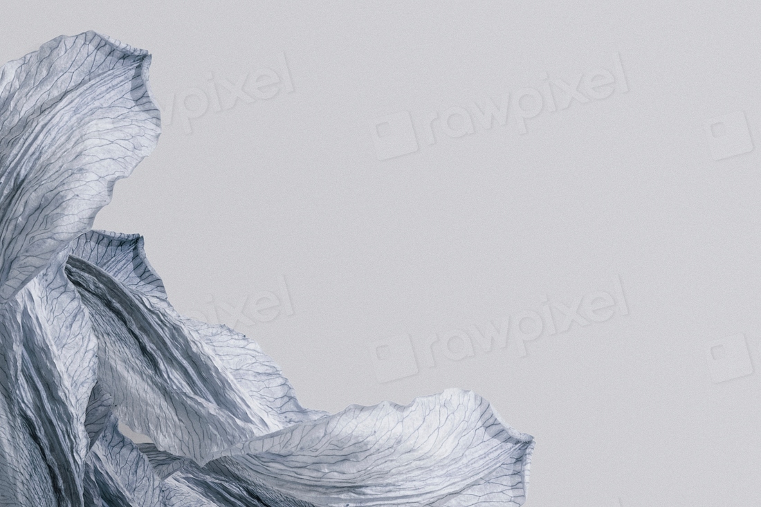 Gray background psd silver flower | Premium PSD - rawpixel