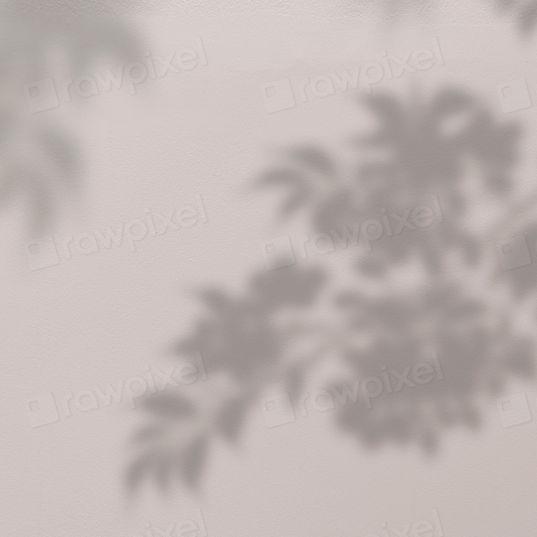 Background psd shadow tree | Premium PSD - rawpixel