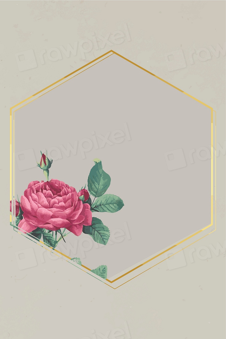 Hexagon frame pink rose element | Premium Vector - rawpixel