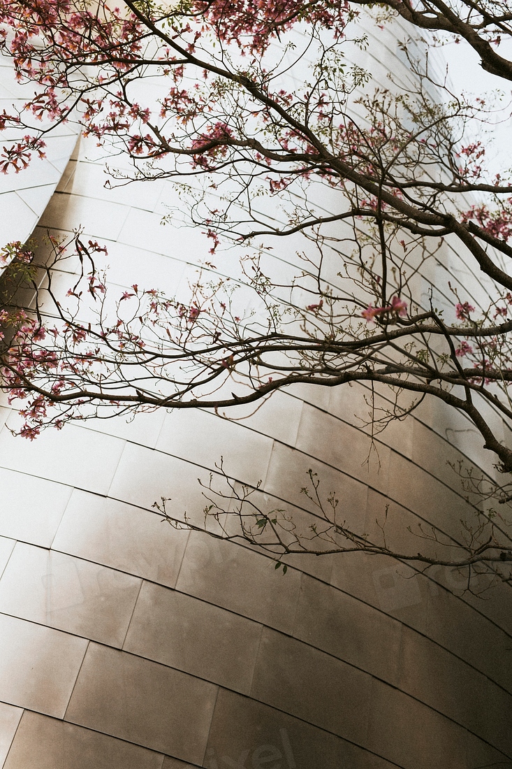 Exterior modern gray building | Premium Photo - rawpixel