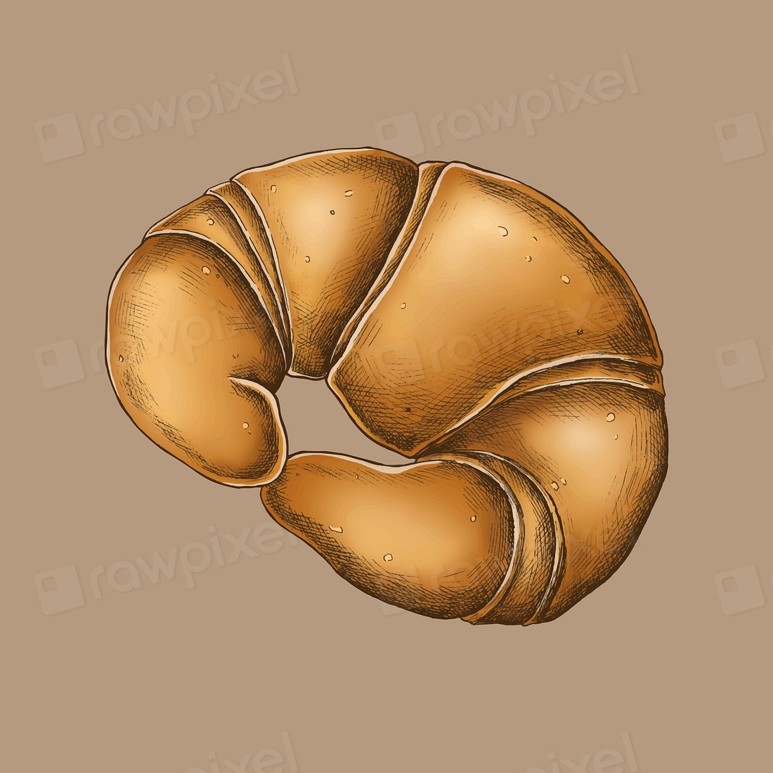 Freshly baked vintage croissant vector | Premium Vector Illustration ...