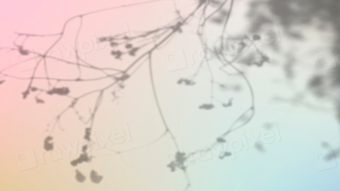 Flower shadow background colorful gradient | Premium Photo - rawpixel