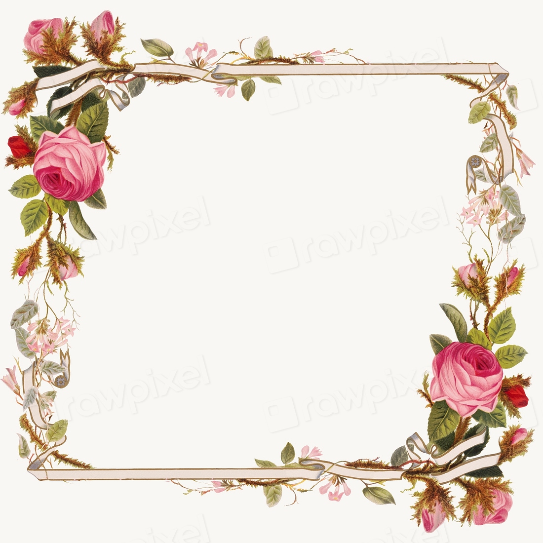 Vintage pink roses psd border | Premium PSD - rawpixel