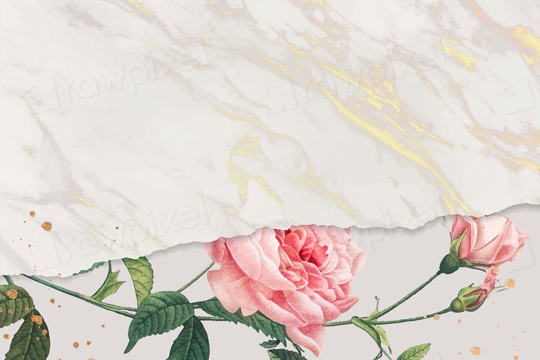 Blank pink rose frame vector | Premium Vector - rawpixel