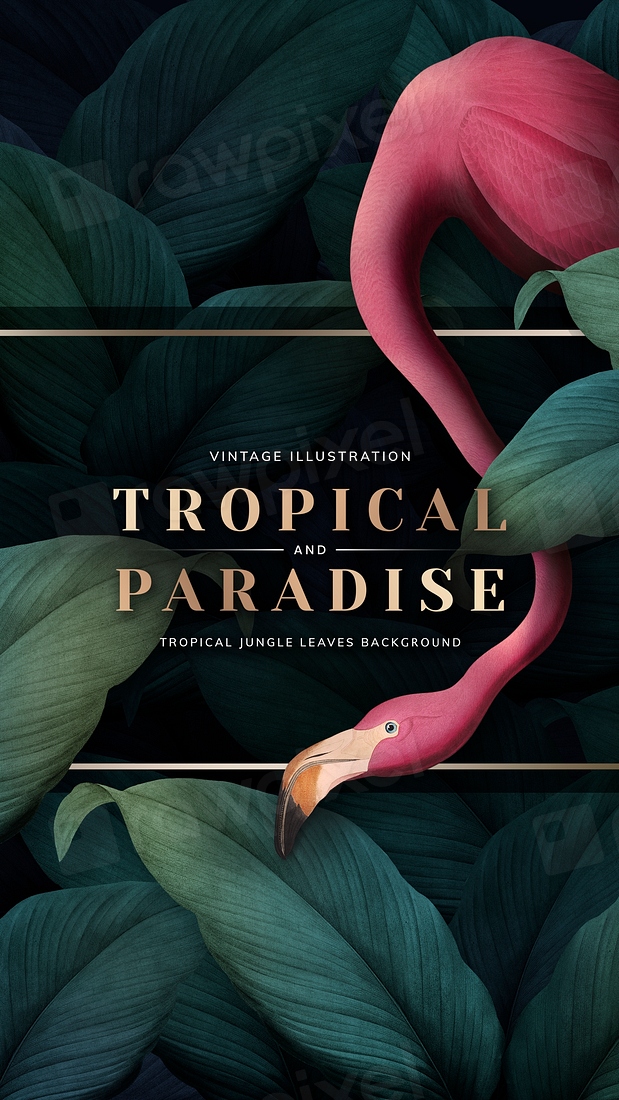 Tropical flamingo golden banner illustration | Premium PSD - rawpixel