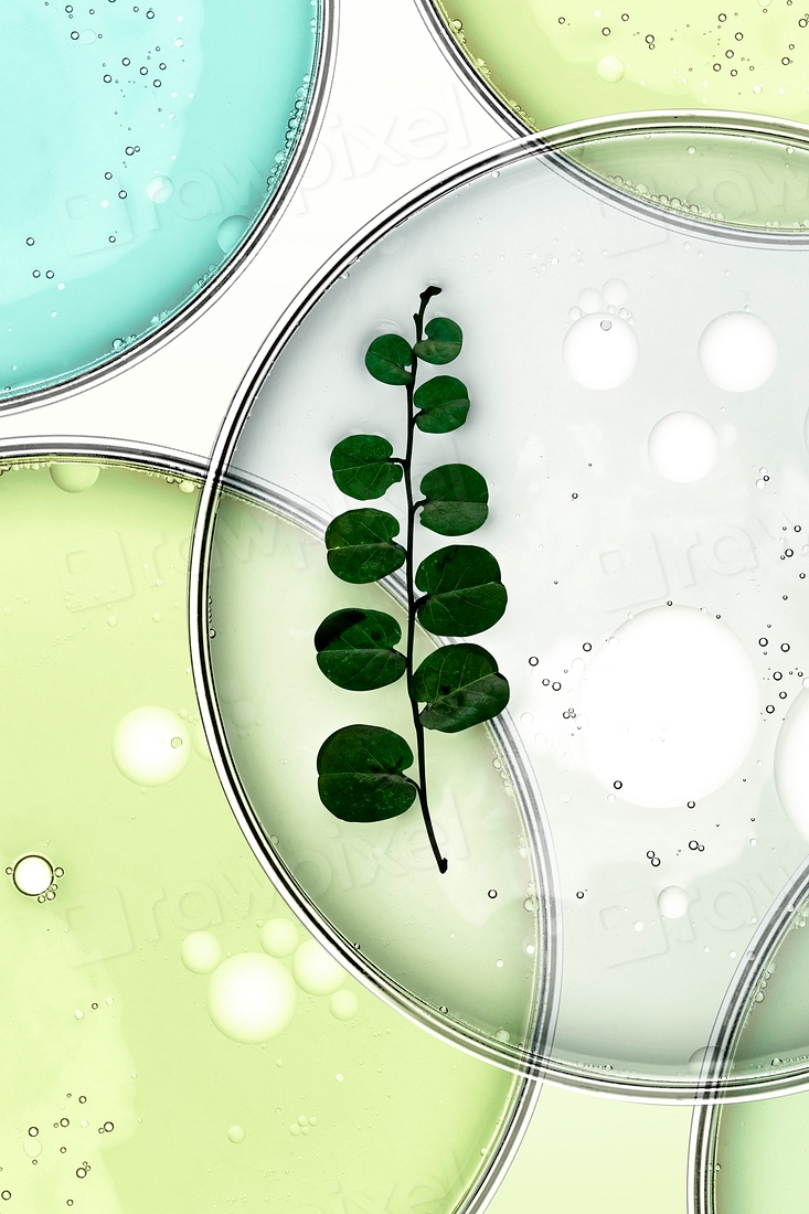 Science background experiment wallpaper, leaf | Free Photo - rawpixel