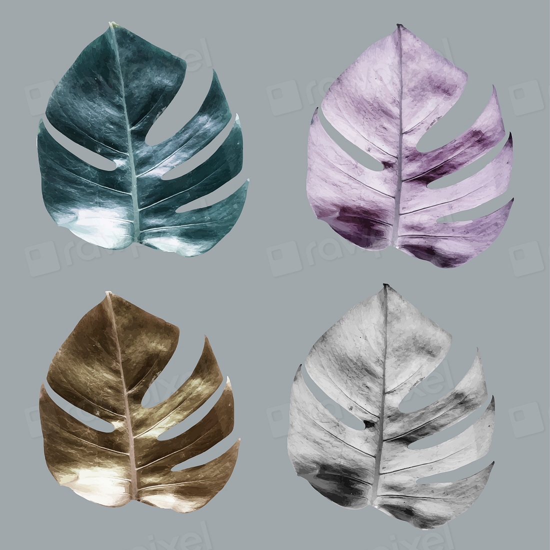 Metallic split leaf philodendron set | Premium Vector - rawpixel