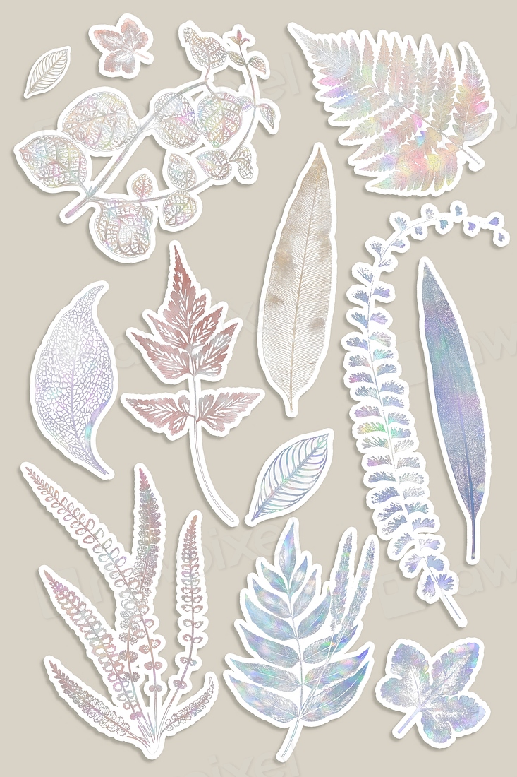 Holographic fern sticker set design | Premium PSD - rawpixel