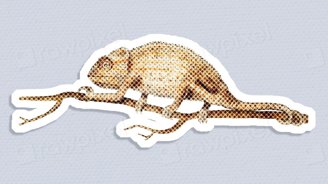 Halftone chameleon sticker white border | Premium PSD - rawpixel