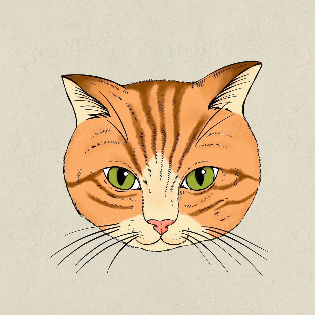 Hand drawn orange cat design | Premium PSD - rawpixel