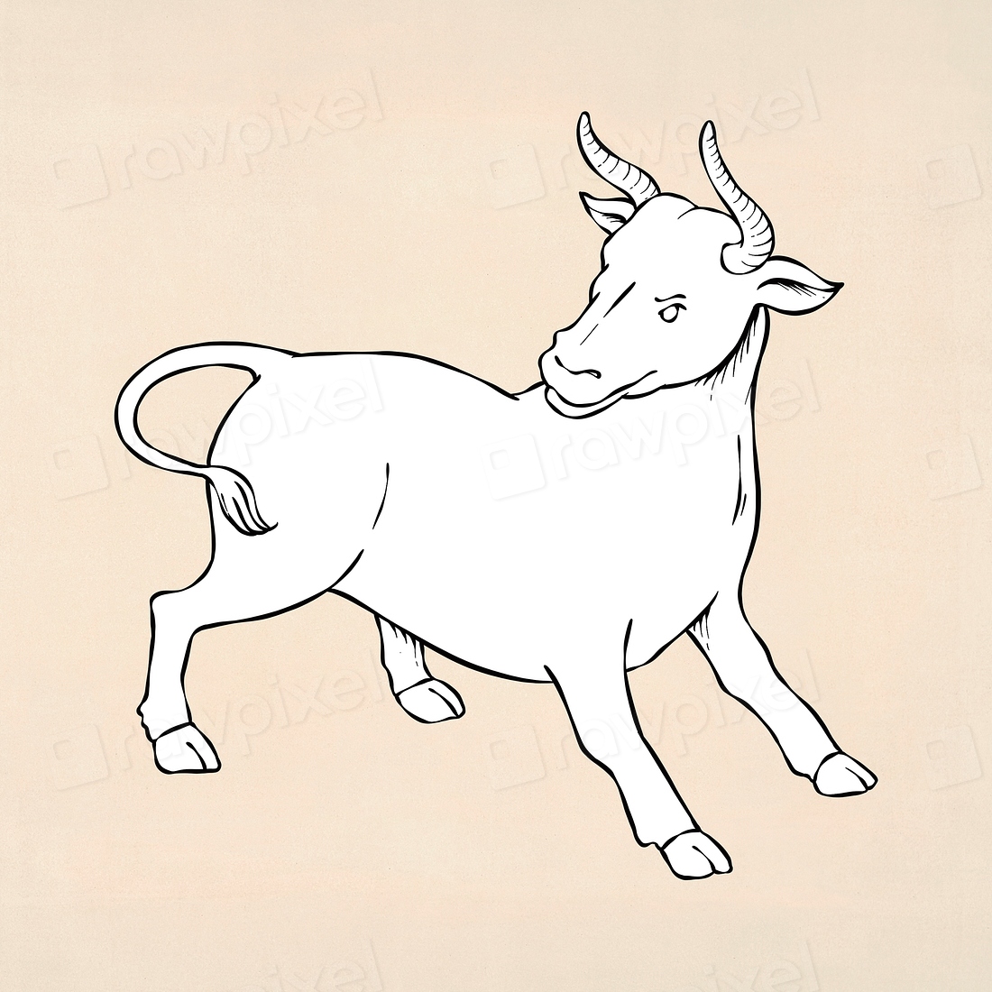 Hand drawn angry bull psd | Premium PSD - rawpixel